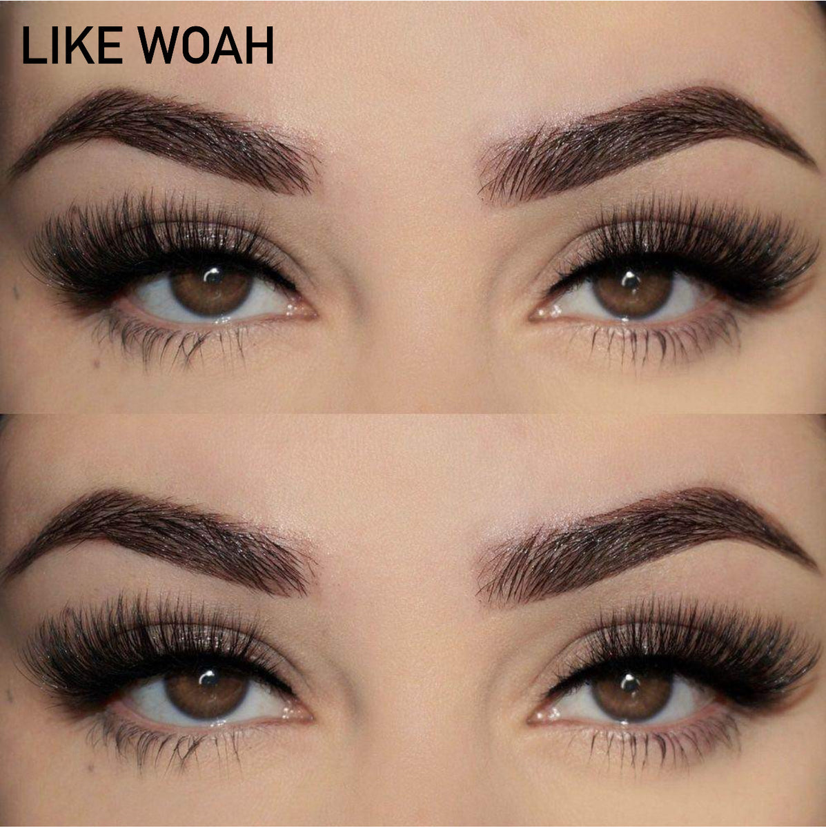 Like Woah Lashes – fabulashbyant